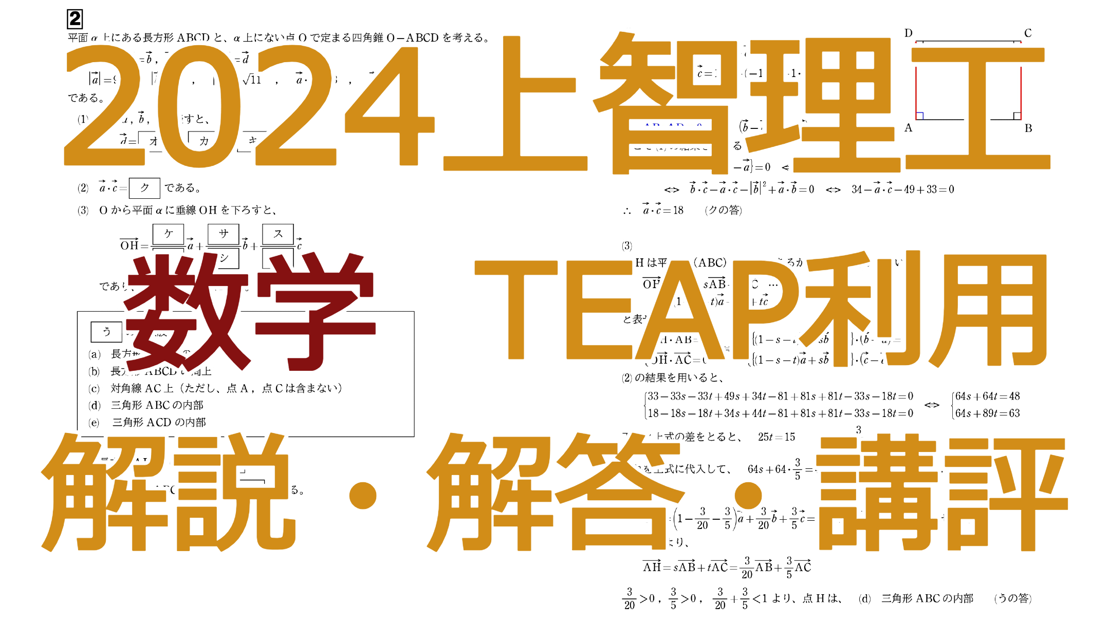 2024上智理工【数学TEAP利用】解説・解答・講評