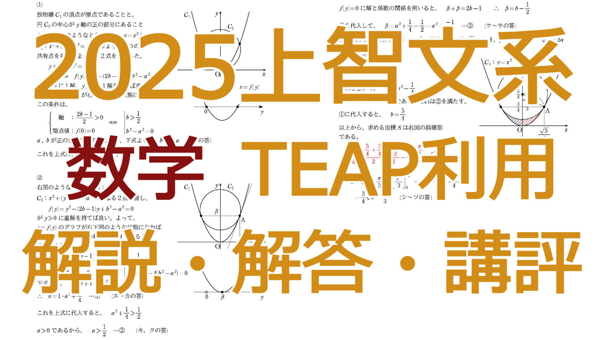 2025上智文系【数学TEAP利用】解説・解答・講評
